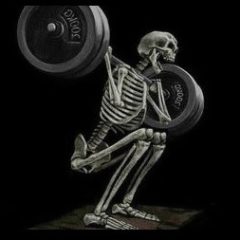 Debunking Mobility Myths | Evolution Physio